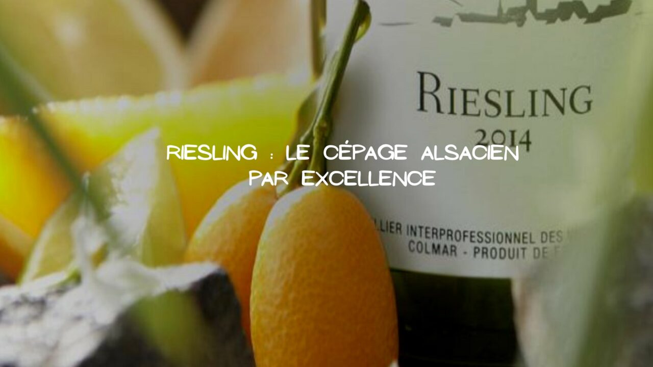 riesling : Tout savoir sur l’Alsace blanc sec