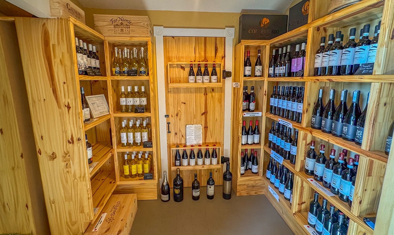 Découvrez l'art caché des caves à vin : trésors sous nos pieds